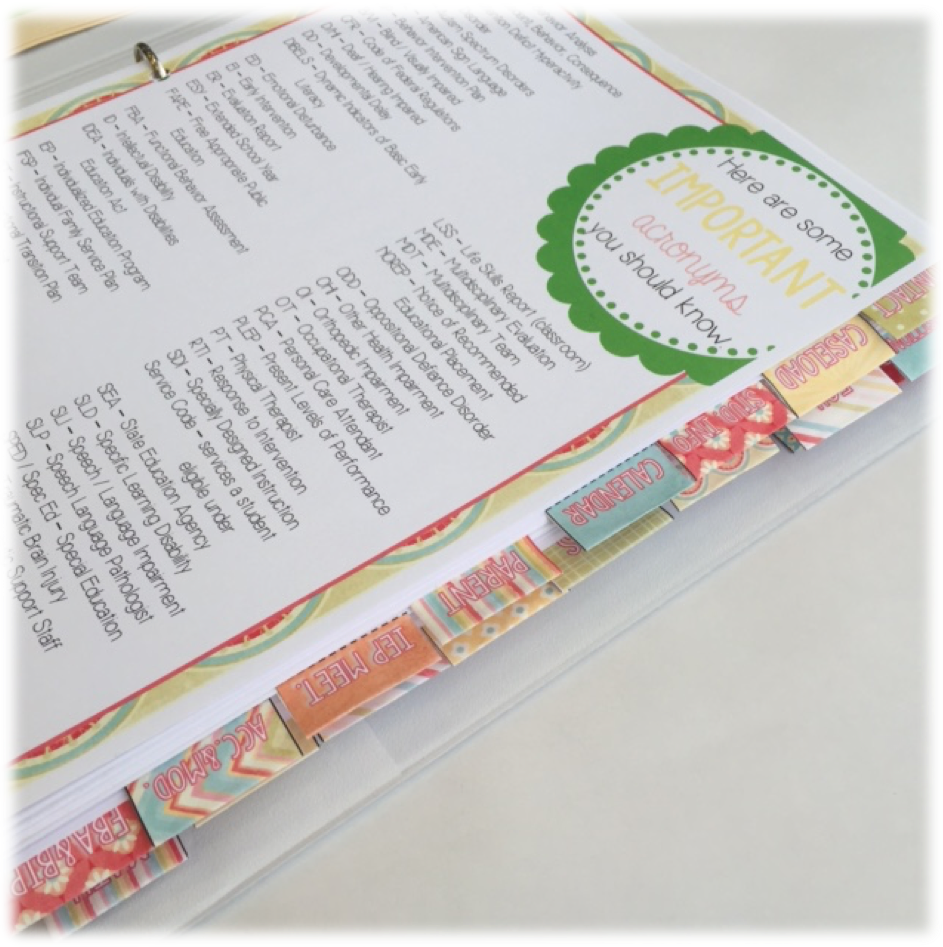 IEP Caseload Binders – mrsdsshop