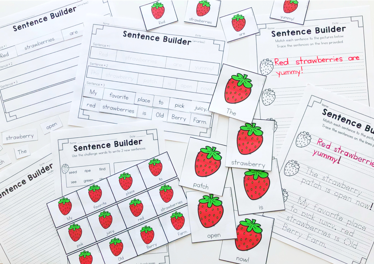 Sentence Builder – mrsdsshop