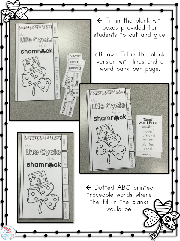 Life Cycle of a Shamrock Flip Flap Booklet [Differentiated] – mrsdsshop