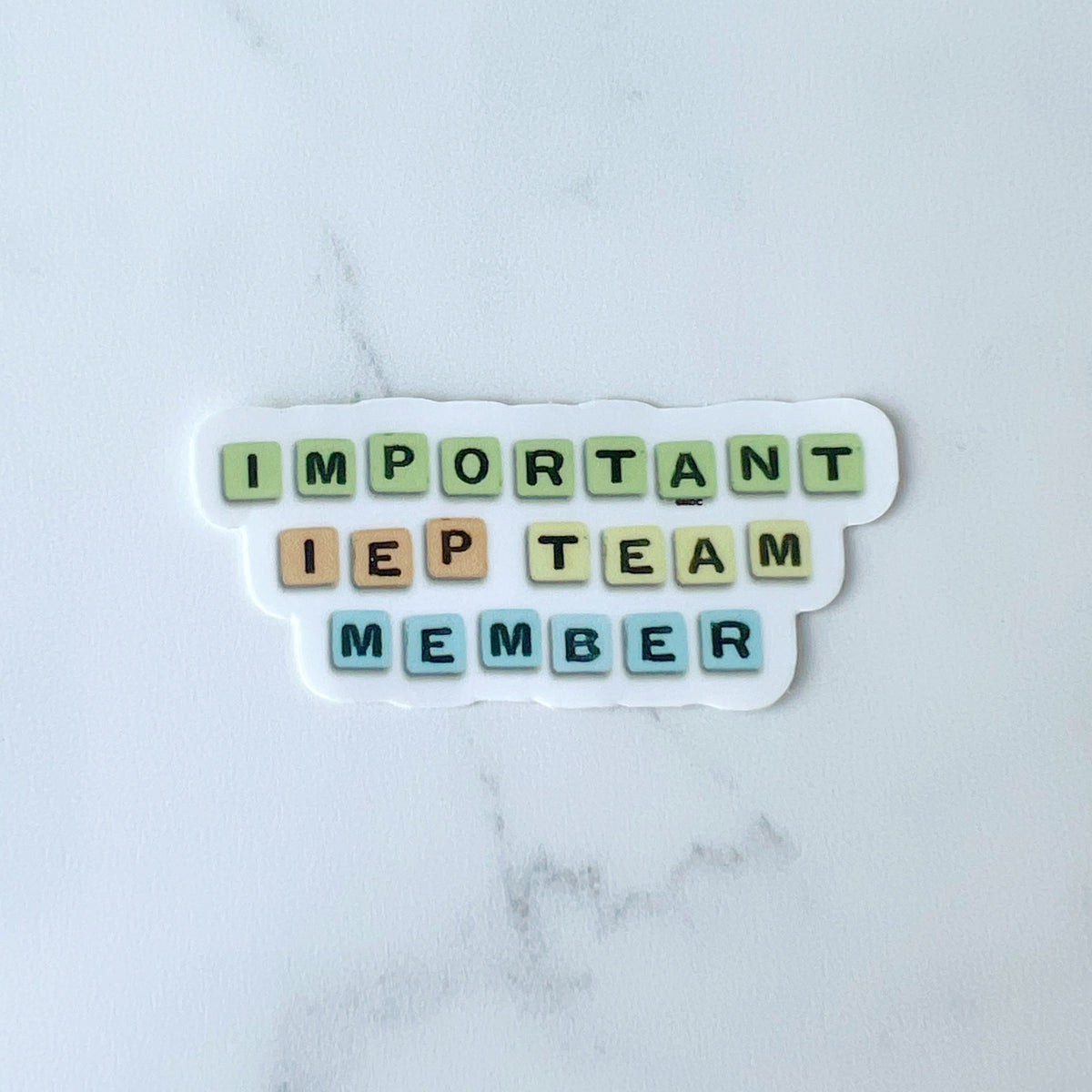 Important IEP Team Member Sticker – mrsdsshop
