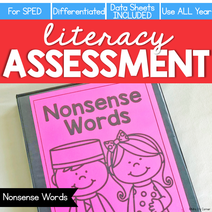 Nonsense Words Assessment - Literacy Reading Assessment – mrsdsshop