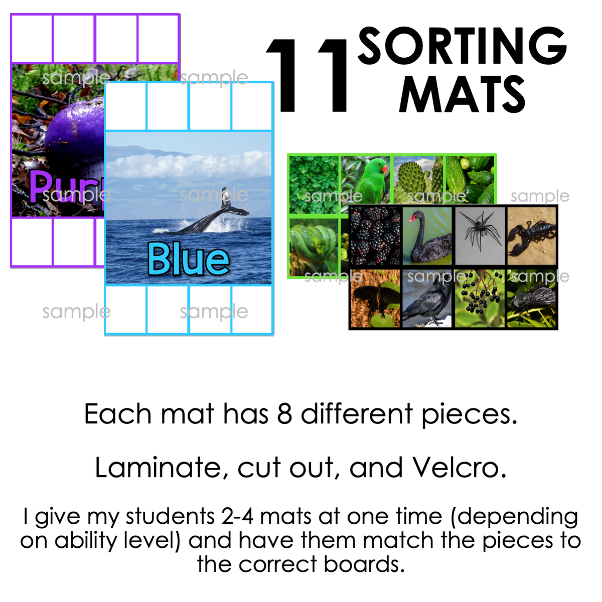 Colors Sorting Mats with REAL Pictures [11 mats] | Real Picture Sortin ...