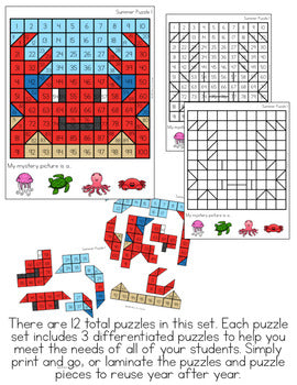 Summer Hundreds Chart Mystery Picture Puzzles – mrsdsshop