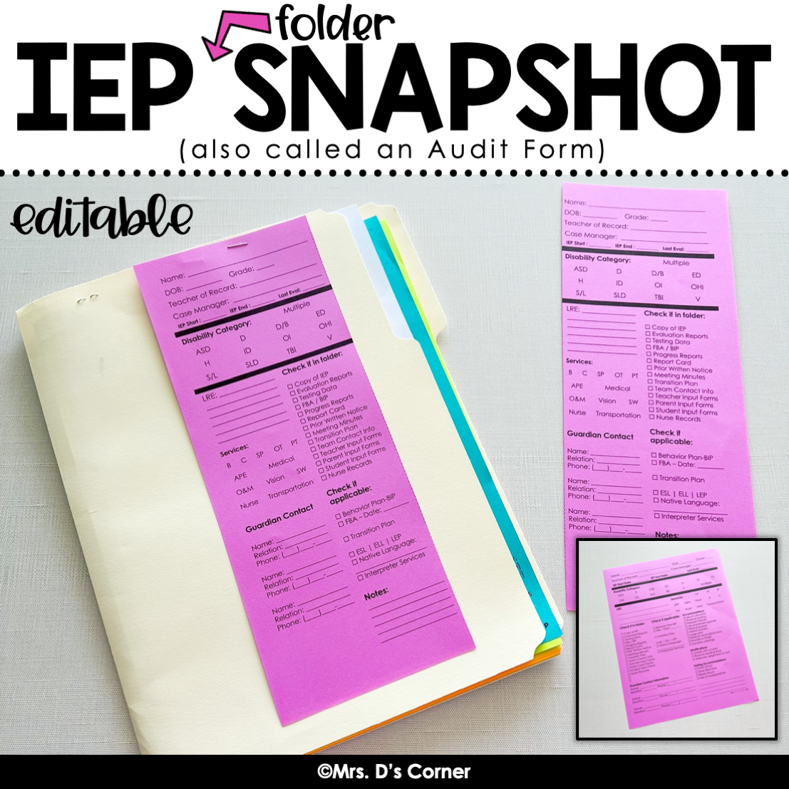 Editable IEP Folder Snapshot - Editable IEP Audit Form – mrsdsshop
