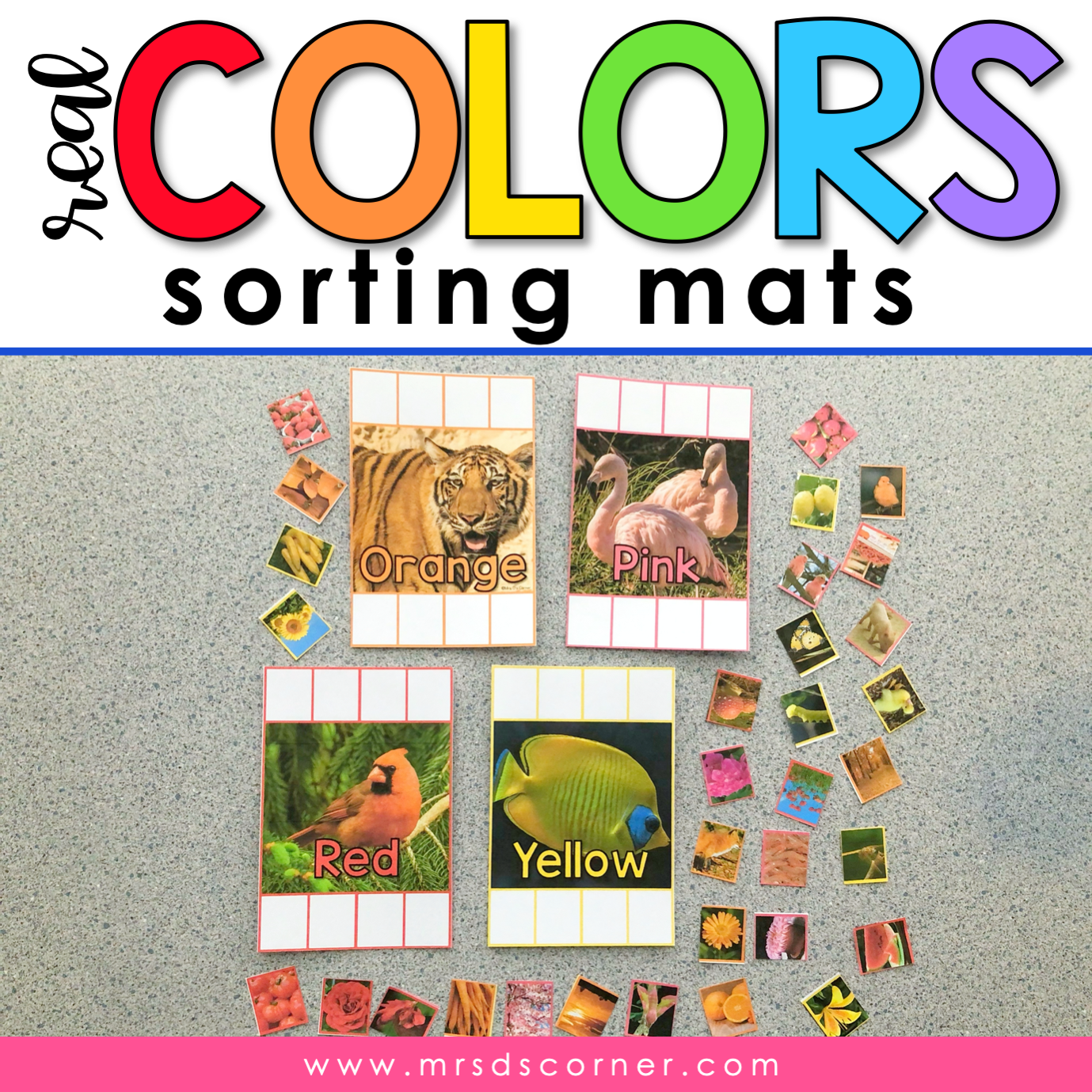 Colors Sorting Mats with REAL Pictures [11 mats] | Real Picture Sortin ...