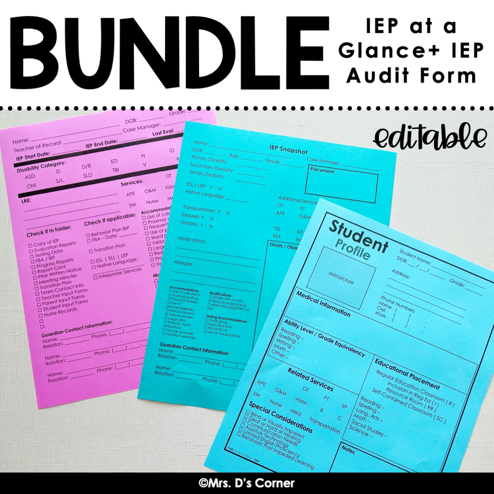 Bundle of Editable IEP Snapshot + Editable IEP Audit Form – mrsdsshop