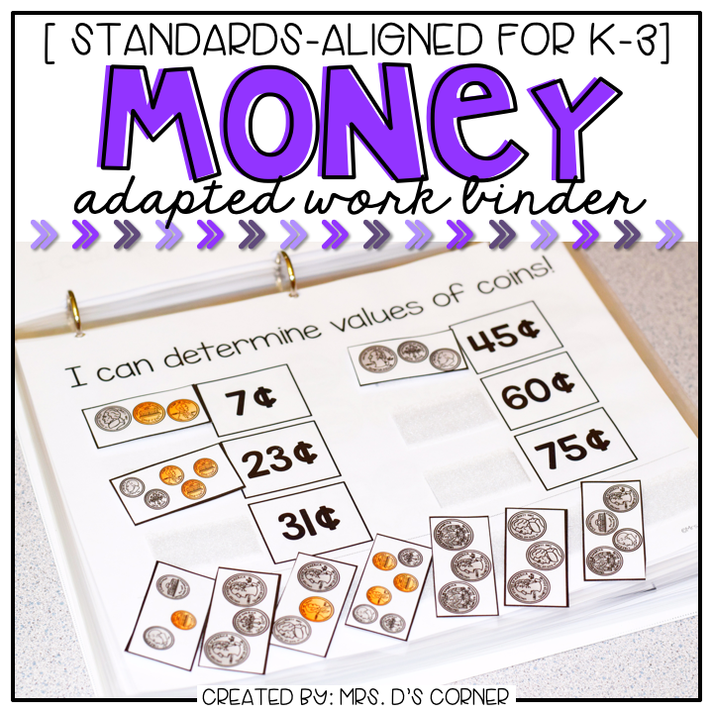 Money Adapted Work Binder® – mrsdsshop