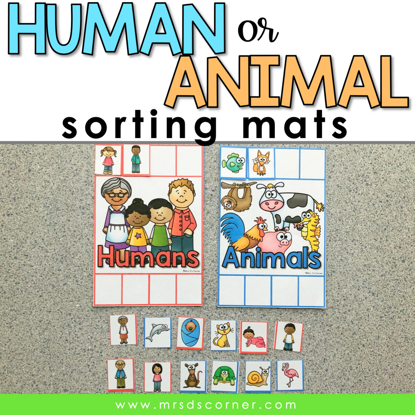 Human or Animal Sorting Mats [2 mats included] – mrsdsshop