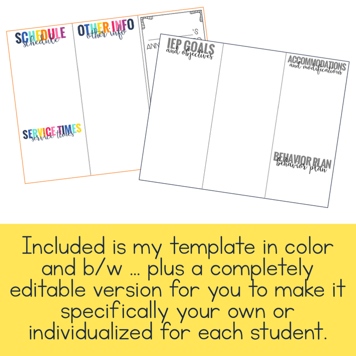 Editable IEP at a Glance Brochure | IEP Snapshot Brochure – mrsdsshop