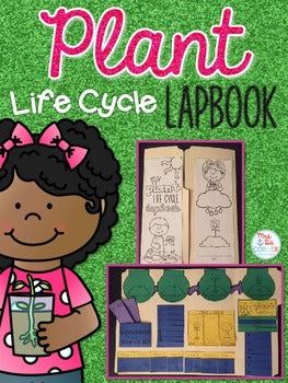 Life Cycle of a Plant Lapbook {with 10 foldables} Flower Life Cycle IN ...