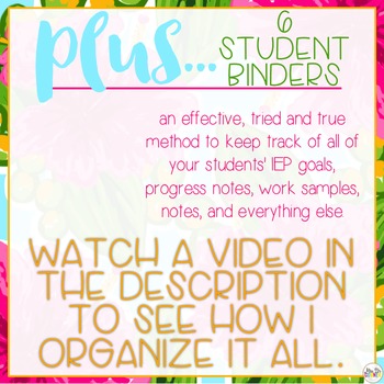 The Ultimate Special Education Binder | Lilly Inspired [editable] IEP ...
